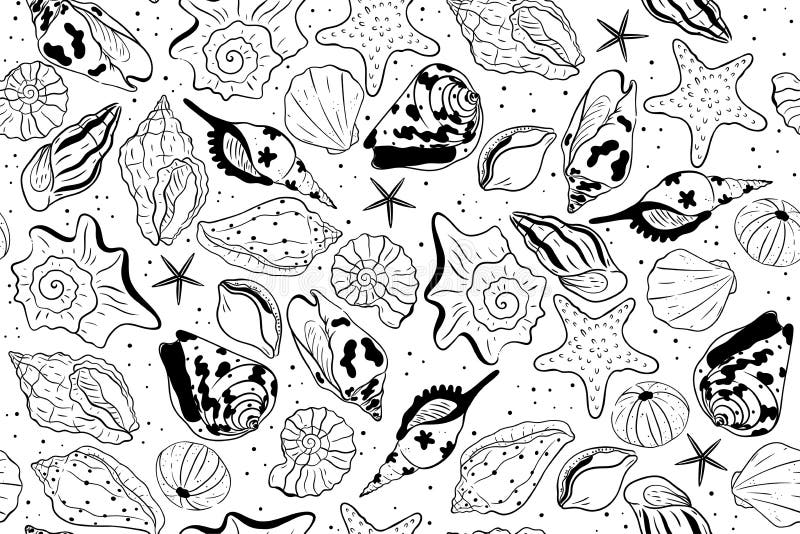 Black and White Seamless Pattern with Seashells. Vector Graphics Stock ...
