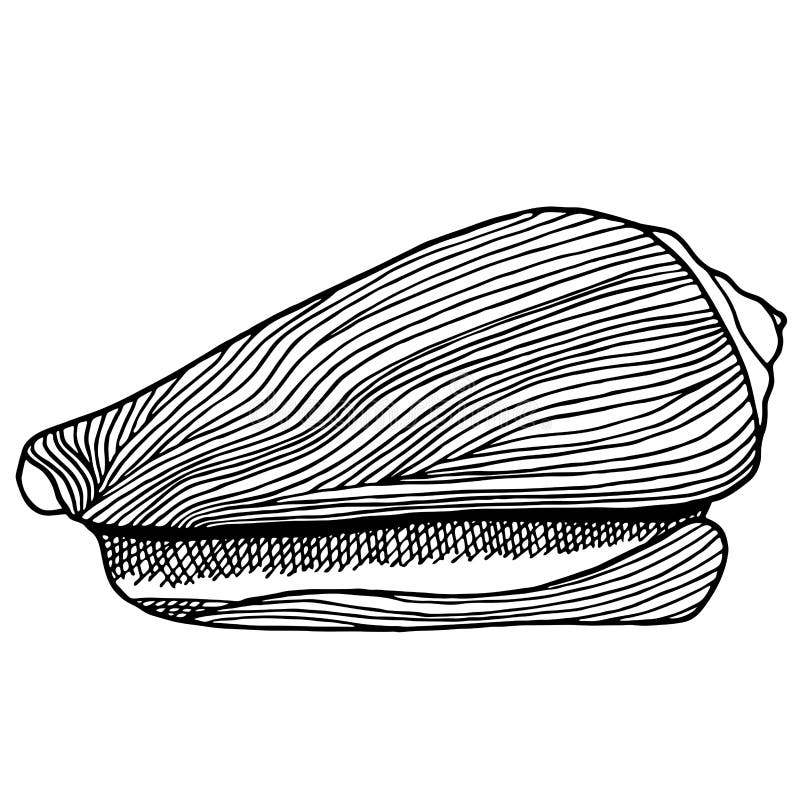 Black and White Spiral Seashell. Hand Drawn Outline Contour Vector ...