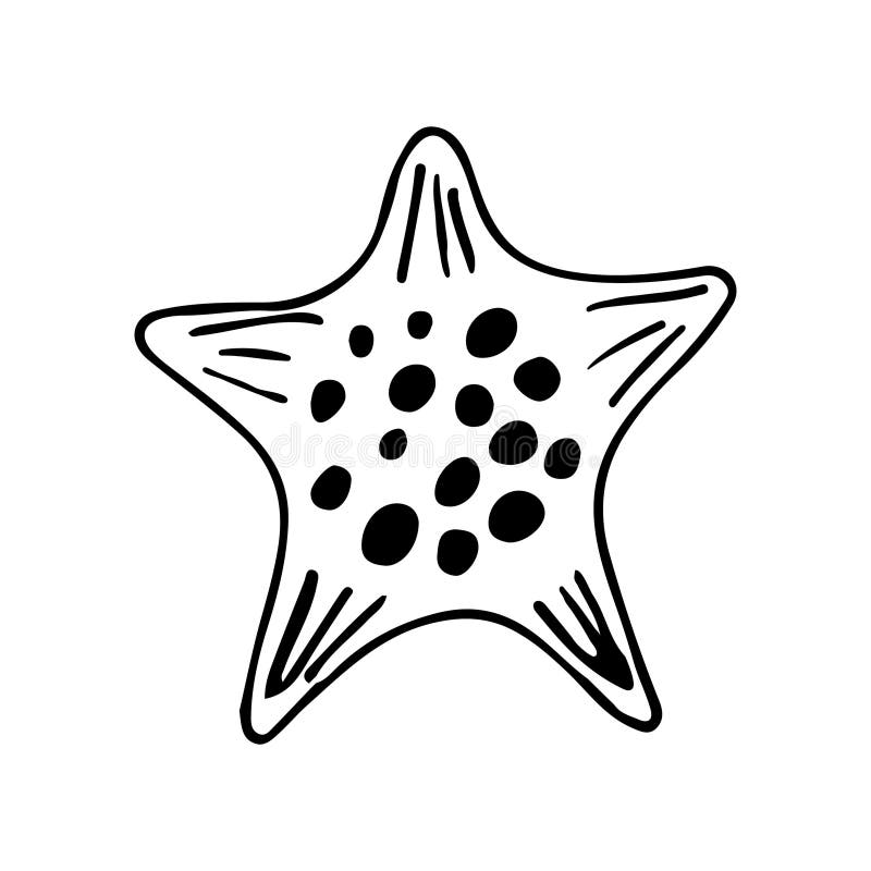 Black and White Seashell . Shell Minimalist Outline Icon. Vector ...