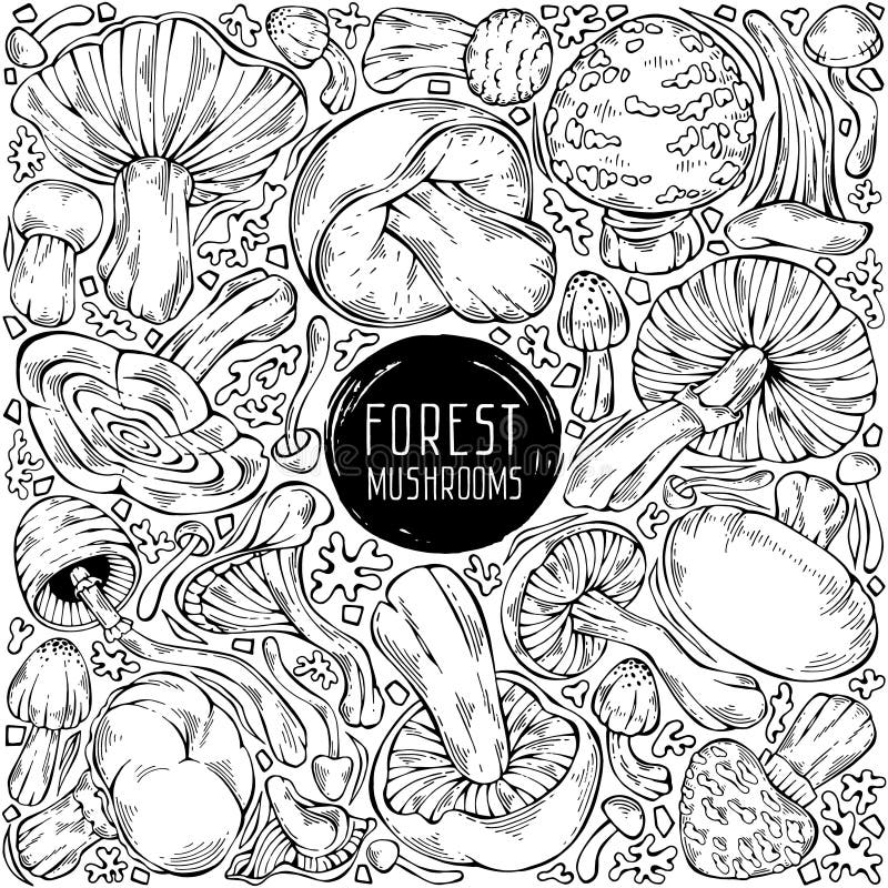 Moss - Edible Mushroom. Doodle Cartoon Coloring Page for Adults Stock ...