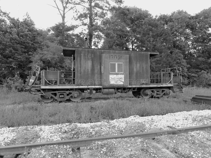 Black and White Shot of an Abandoned Wagon of a Train in a Forest Stock Photo - Image of white ...