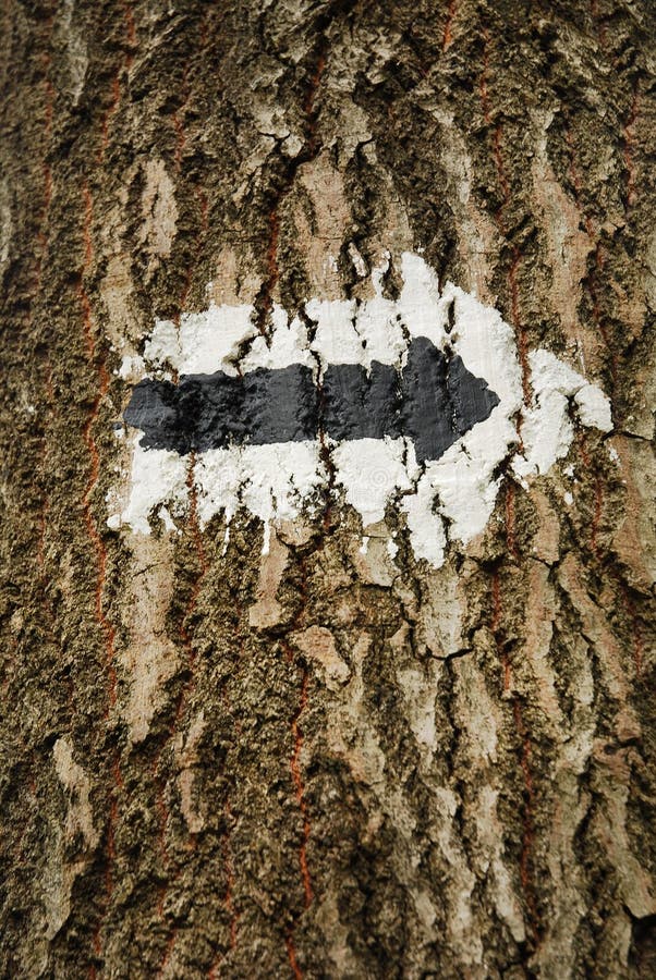 Black and White Sign on a Tree Painted with Paint. the Arrow Indicates ...