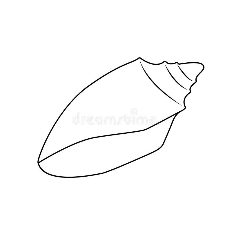 Seashell Black White Drawing Stock Illustrations – 4,062 Seashell Black ...
