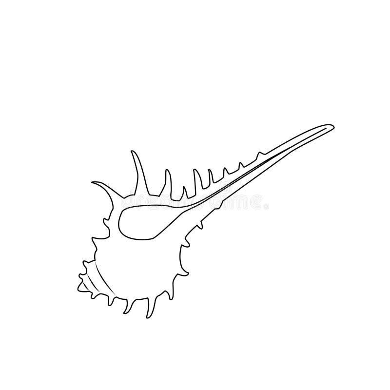 Seashell Black White Drawing Stock Illustrations – 4,062 Seashell Black ...