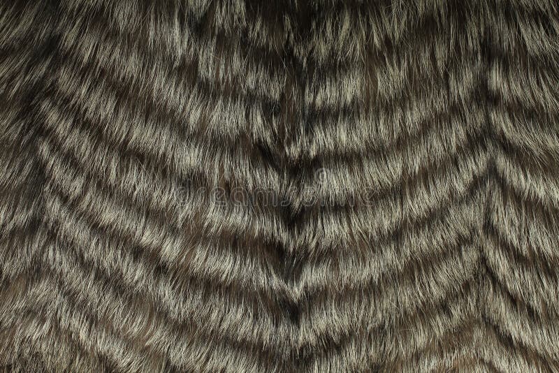 Black and White Silver Fox Stitched Fur Texture Stock Photo - Image of ...