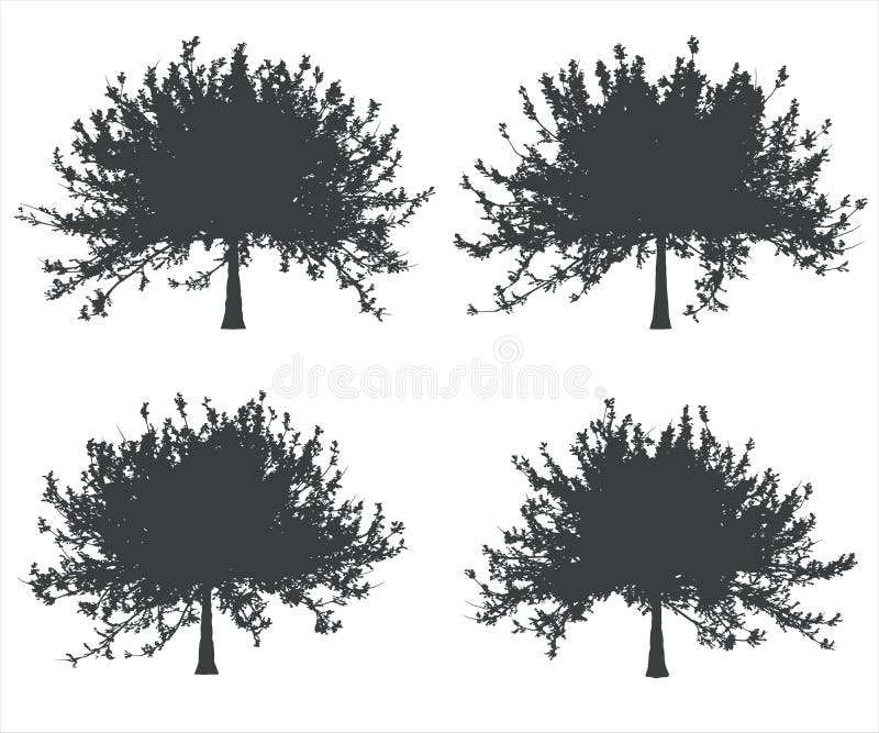 Shapes Tree Canopy Stock Illustrations – 127 Shapes Tree Canopy Stock ...