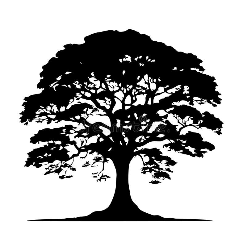 Black and White Sketch of Tree with Many Branches Stock Vector ...