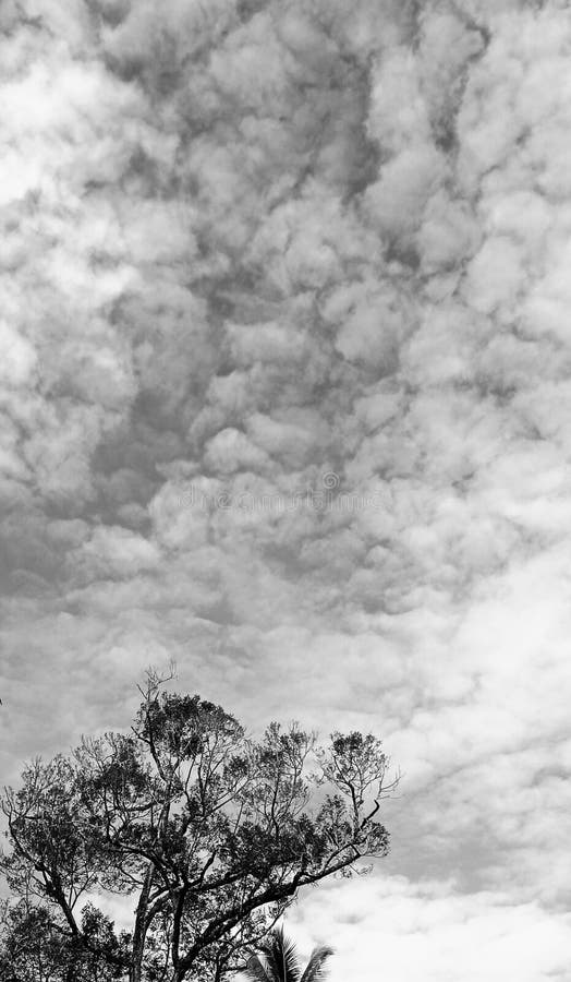 Black and white sky stock image. Image of nature, white - 202800941