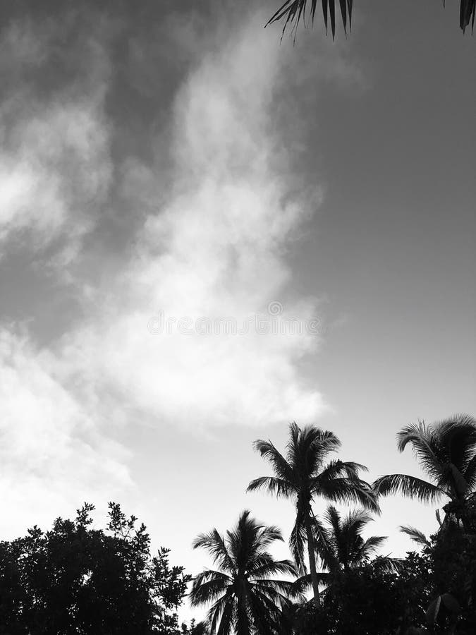 Black And White Sky Background Stock Photo - Image of background, black ...
