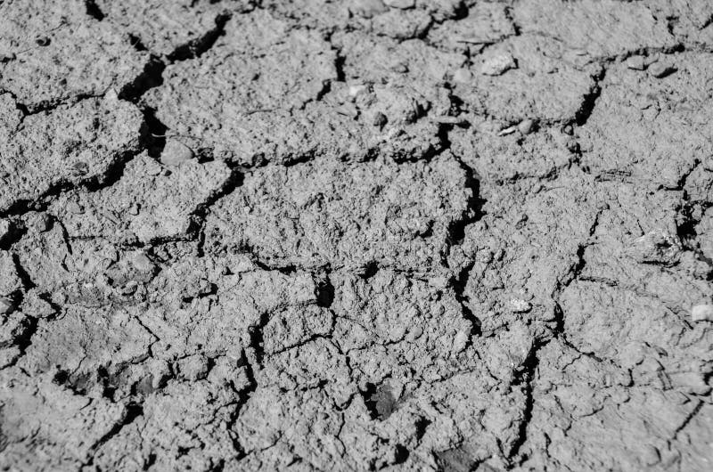 Black And White, Soil, Monochrome Photography, Drought Picture. Image ...