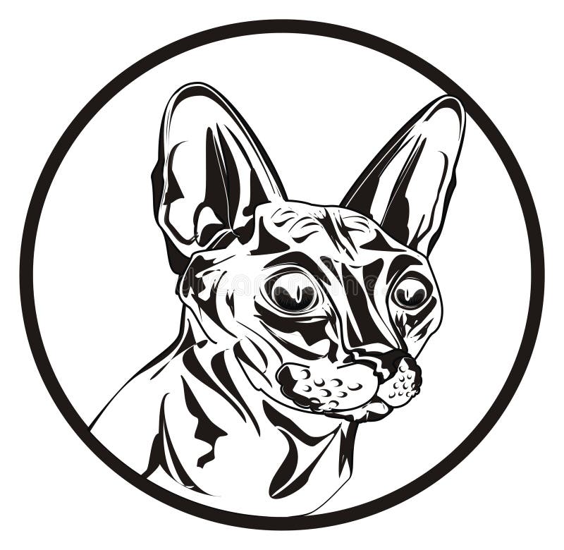 Sphynx cat in icon stock illustration. Illustration of expensive ...