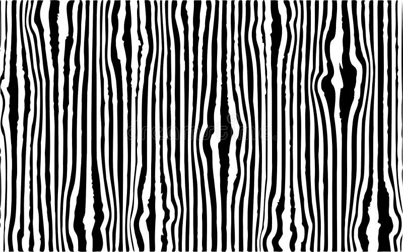 Black and White Stripes. Zebra Line Pattern Stock Vector - Illustration ...