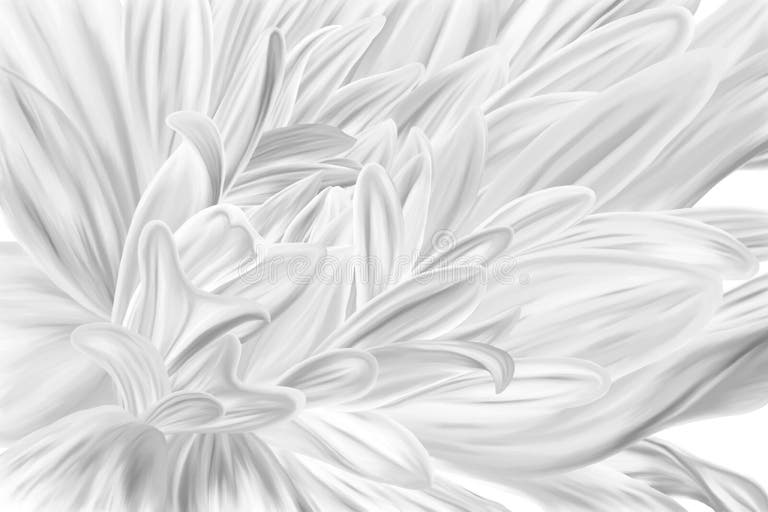 Flower Grey Scale Stock Illustrations – 291 Flower Grey Scale Stock ...