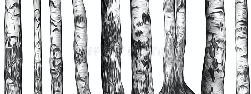 Black and White Stylized Drawing of Tree Trunks Stock Illustration ...