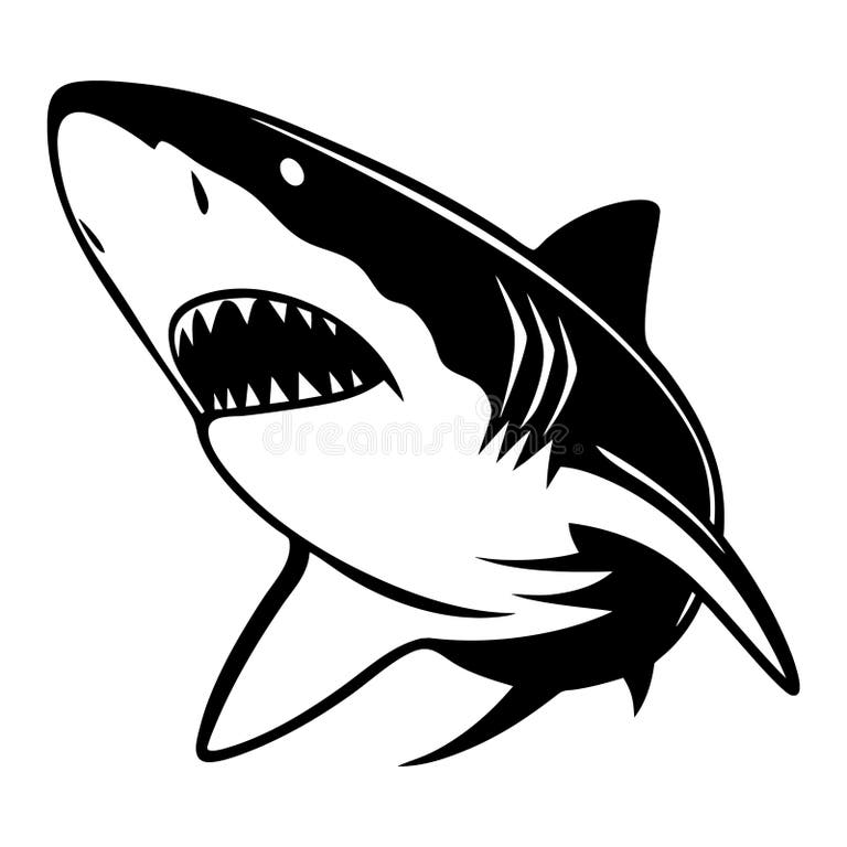 Black and White Stylized Vector Illustration of a Dangerous Shark with ...