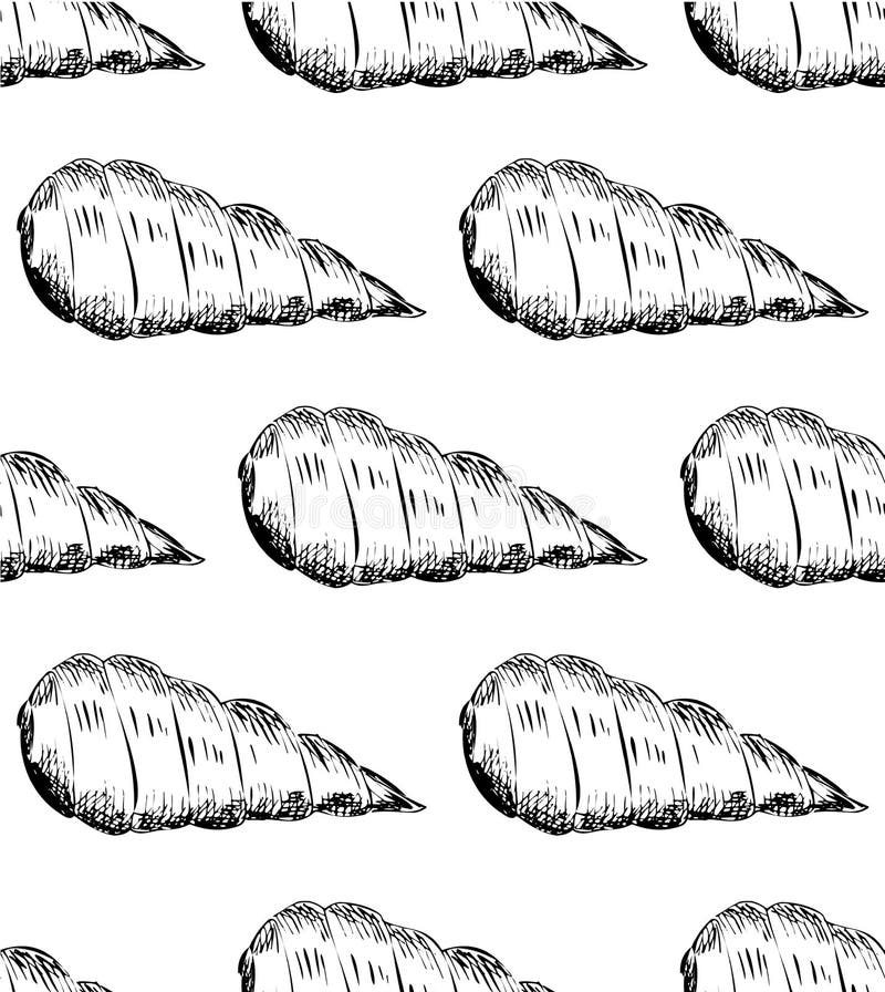 Black and White Summer Pattern with Seashells Stock Illustration ...