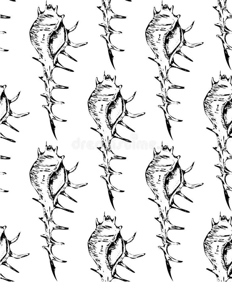 Black and White Summer Pattern with Seashells Stock Illustration ...
