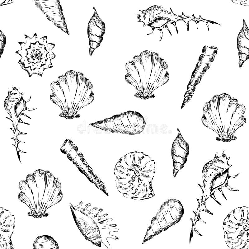 Black and White Summer Pattern with Seashells Stock Illustration ...