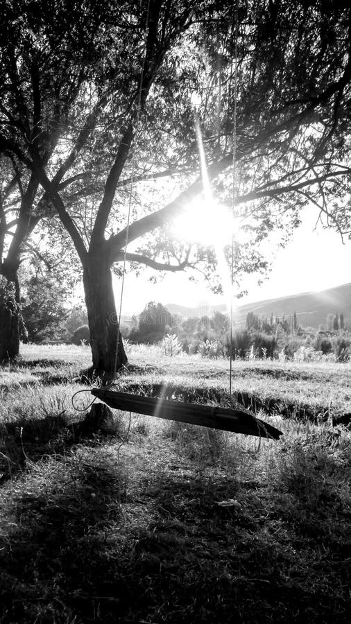 A Black and White Swing Scene in Nature, Evoking Nostalgia and Serenity ...