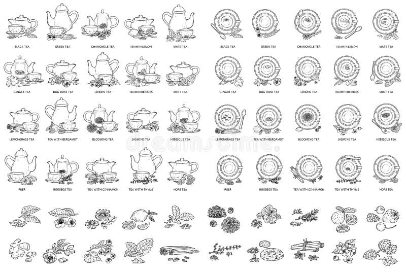 Tea Drawing Stock Illustrations – 100,479 Tea Drawing Stock ...