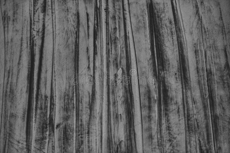 Wood texture stock photo. Image of detailed, monocolor - 101822494