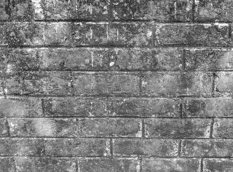 Black and White Texture of Old Bricks Wall Stock Photo - Image of ...