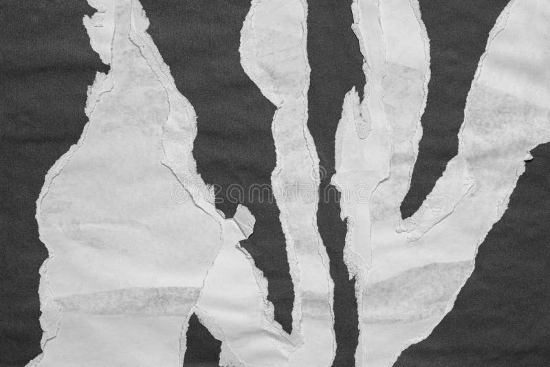 17,581 Black Ripped Background Stock Photos - Free & Royalty-Free Stock ...