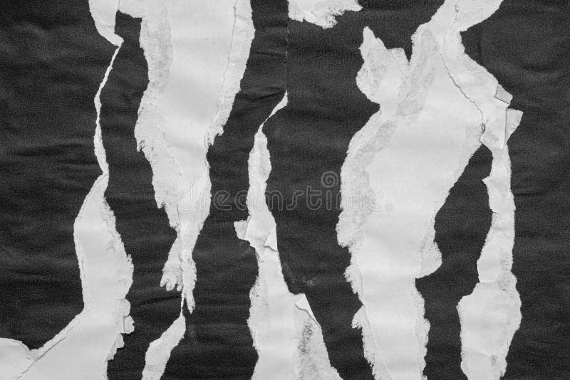 Black and White Torn Paper Collage Style, Ripped Paper Effect, Texture ...