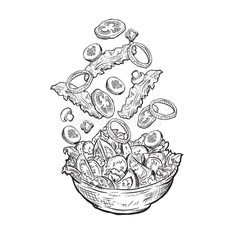 Black and White Tossed Salad Sketch Vector Illustration. Vector ...