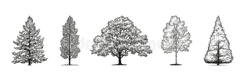 Elevation Collection Stock Illustrations – 1,220 Elevation Collection ...