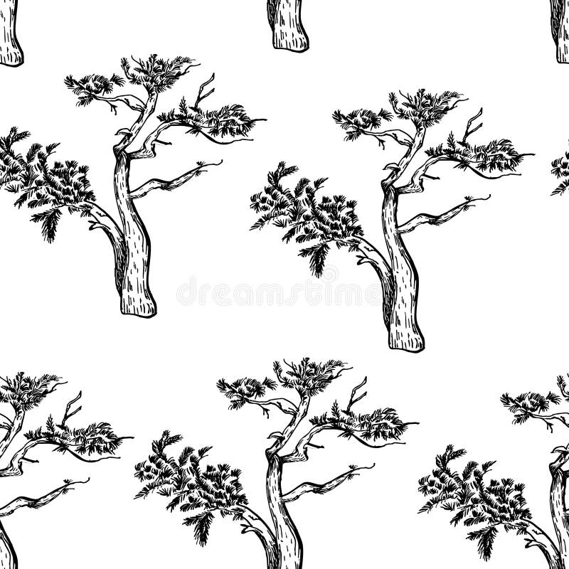 Twisted Pine Trees Stock Illustrations – 674 Twisted Pine Trees Stock ...