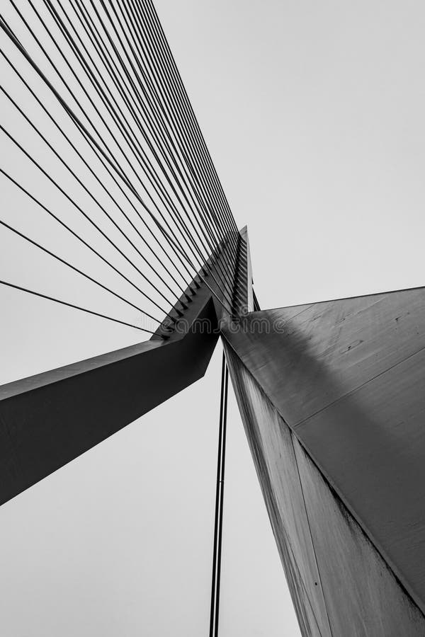 Black and White Upward Perspective of the Erasmus Bridge S Cable ...