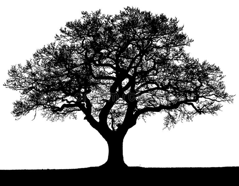 Tree Cartoon Black White Stock Illustrations – 67,842 Tree Cartoon ...