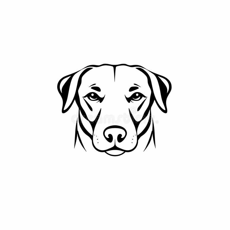 Beagle dog facing forward stock illustration. Illustration of puppy ...