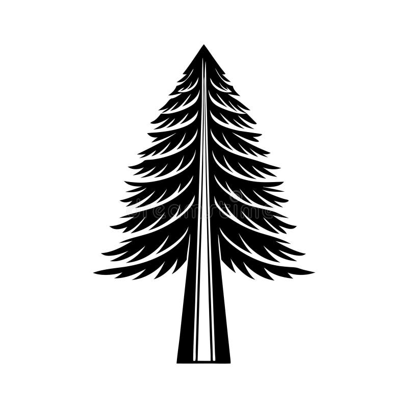 Black and White Vector Illustration of a Classic Evergreen Pine Tree ...