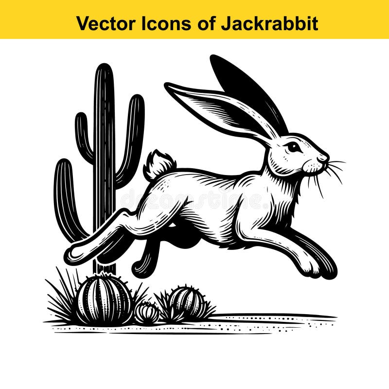 Jackrabbit Black and White Line Art – Bold Western Cartoon for Tracing ...