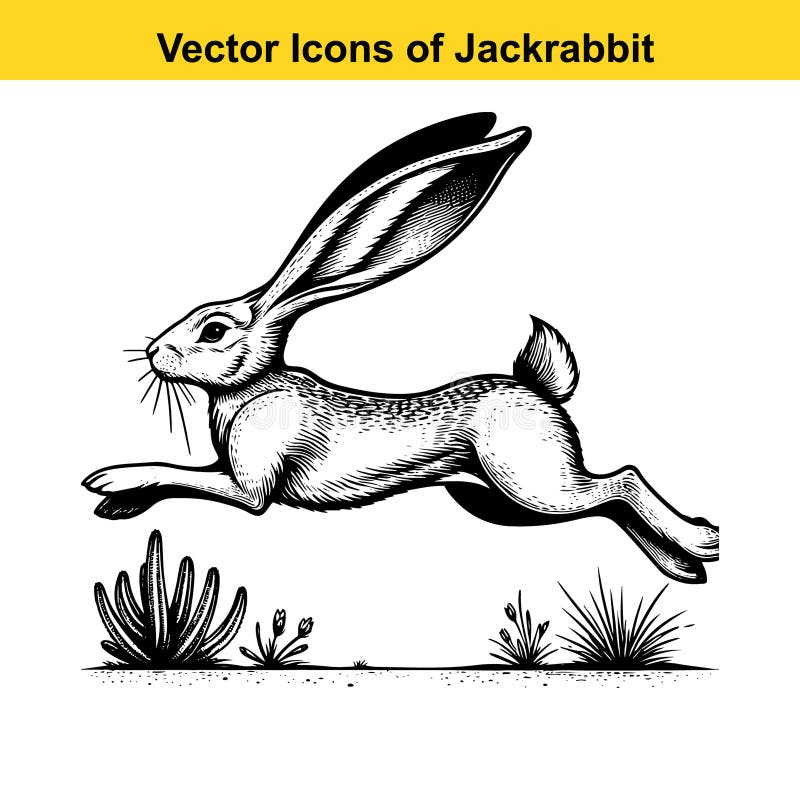 Jackrabbit Black and White Line Art – Bold Western Cartoon for Tracing ...