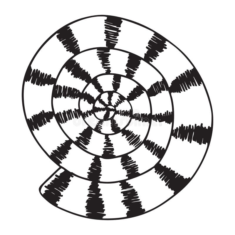 Black and White Vector Illustration of Sea Shell Stock Vector ...