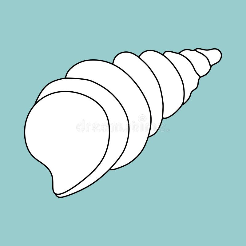 Black and White Vector Illustration Seashell. Linear Image of Shell ...