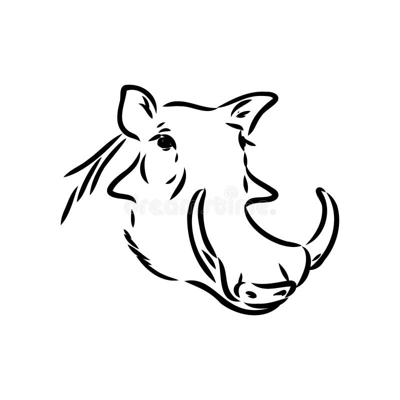 Black and White Vector Line Drawing of a Warthog Stock Vector ...