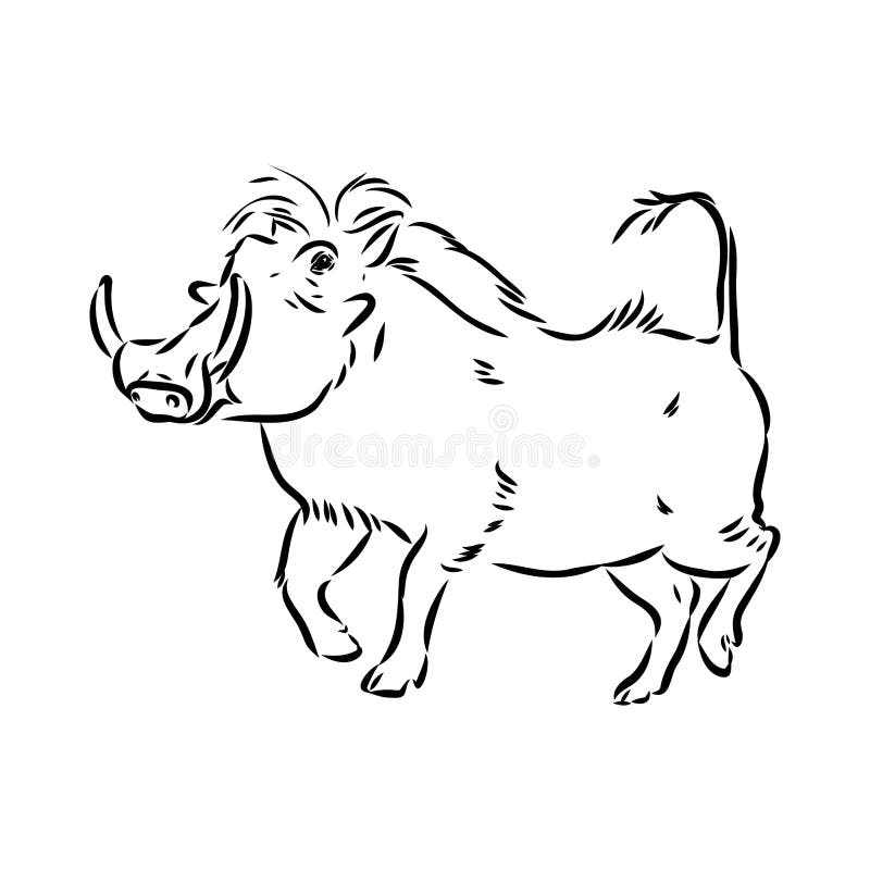 Black and White Vector Line Drawing of a Warthog Stock Vector - Illustration of warthog, nature ...