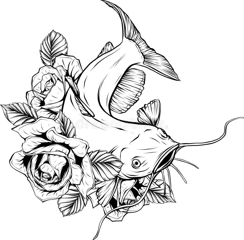 Hand-drawn Catfish. Black and White. Vector Sketch of a Fish Stock ...