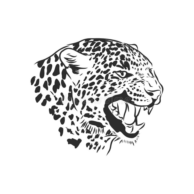 Leopard Face Stencil