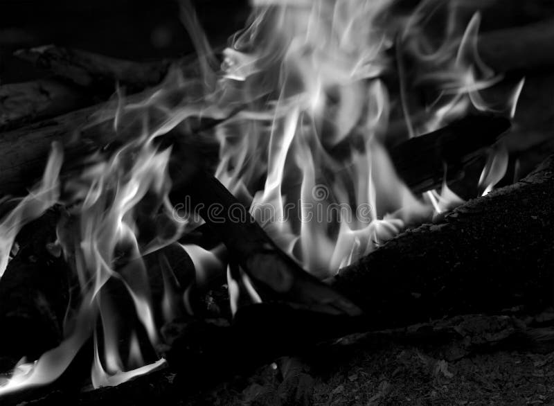 Black And White View On Campfire In Forest Stock Photo - Image of ...