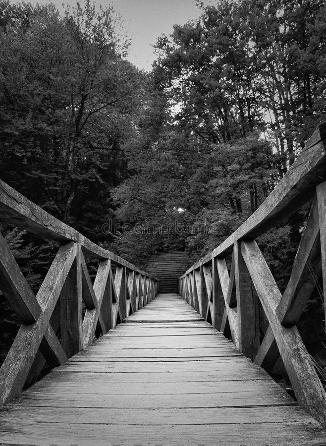 Black and White View from a Wood Bridge at Sunset Stock Image - Image ...