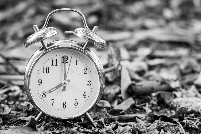 285 Soil Clock Stock Photos - Free & Royalty-Free Stock Photos from ...