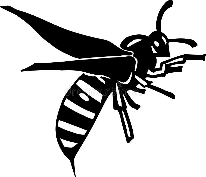 Black and White Wasp Illustration Stock Vector - Illustration of wasps ...