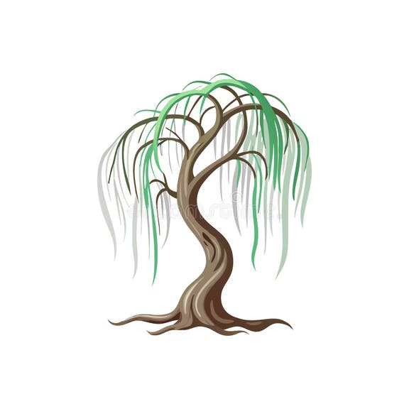 Black and White Weeping Willow Tree Silhouette Vector Illustration ...