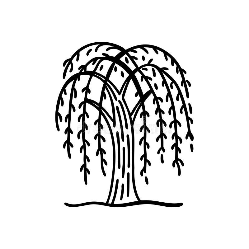 Black and White Weeping Willow Tree Silhouette Vector Illustration ...