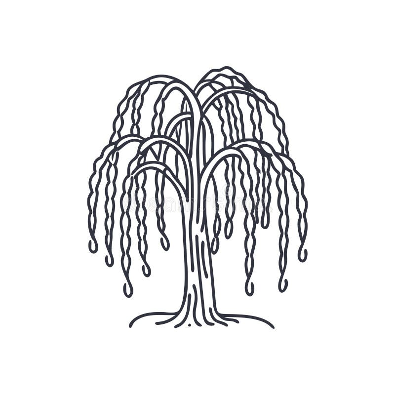 Black and White Weeping Willow Tree Vector Illustration for Logo Design ...